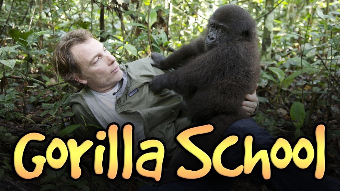Gorilla School | Apple TV