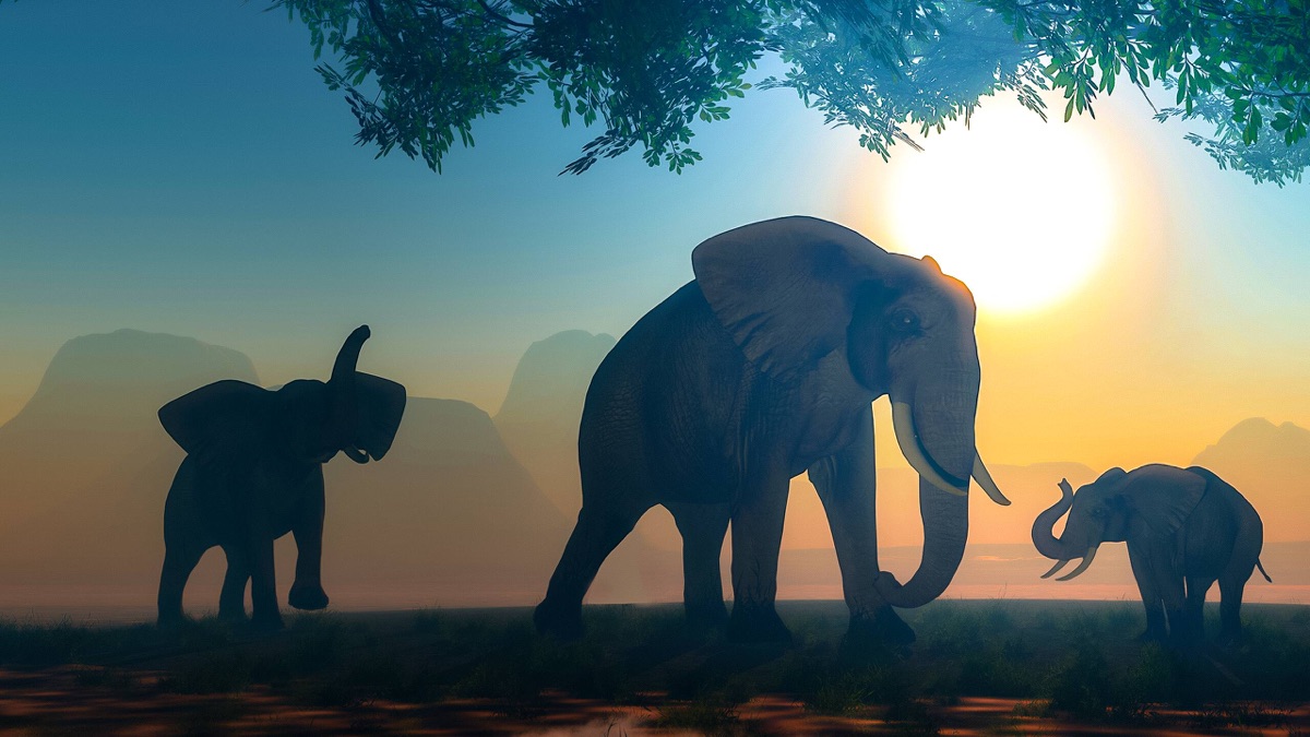 Andy's Wild Adventures | Apple TV (uk)