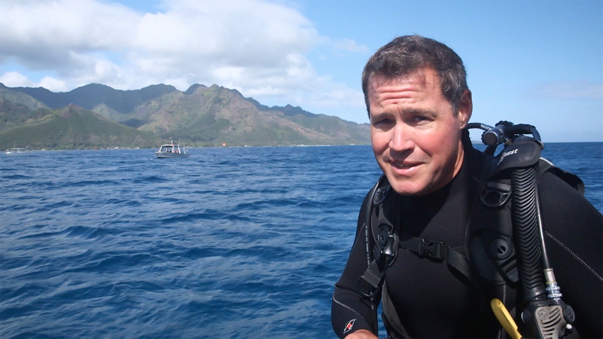 The Snakes of Southern Africa - Ocean Mysteries With Jeff Corwin ...