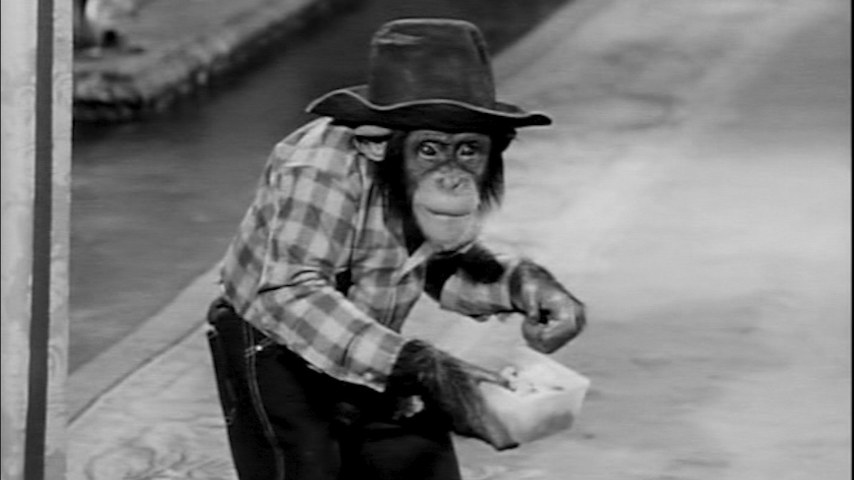 The Giant Jackrabbit - The Beverly Hillbillies (Season 2, Episode 16 ...