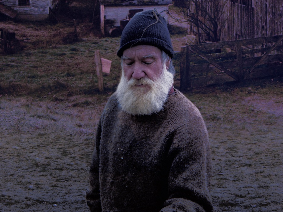 Peter and the Farm - Apple TV