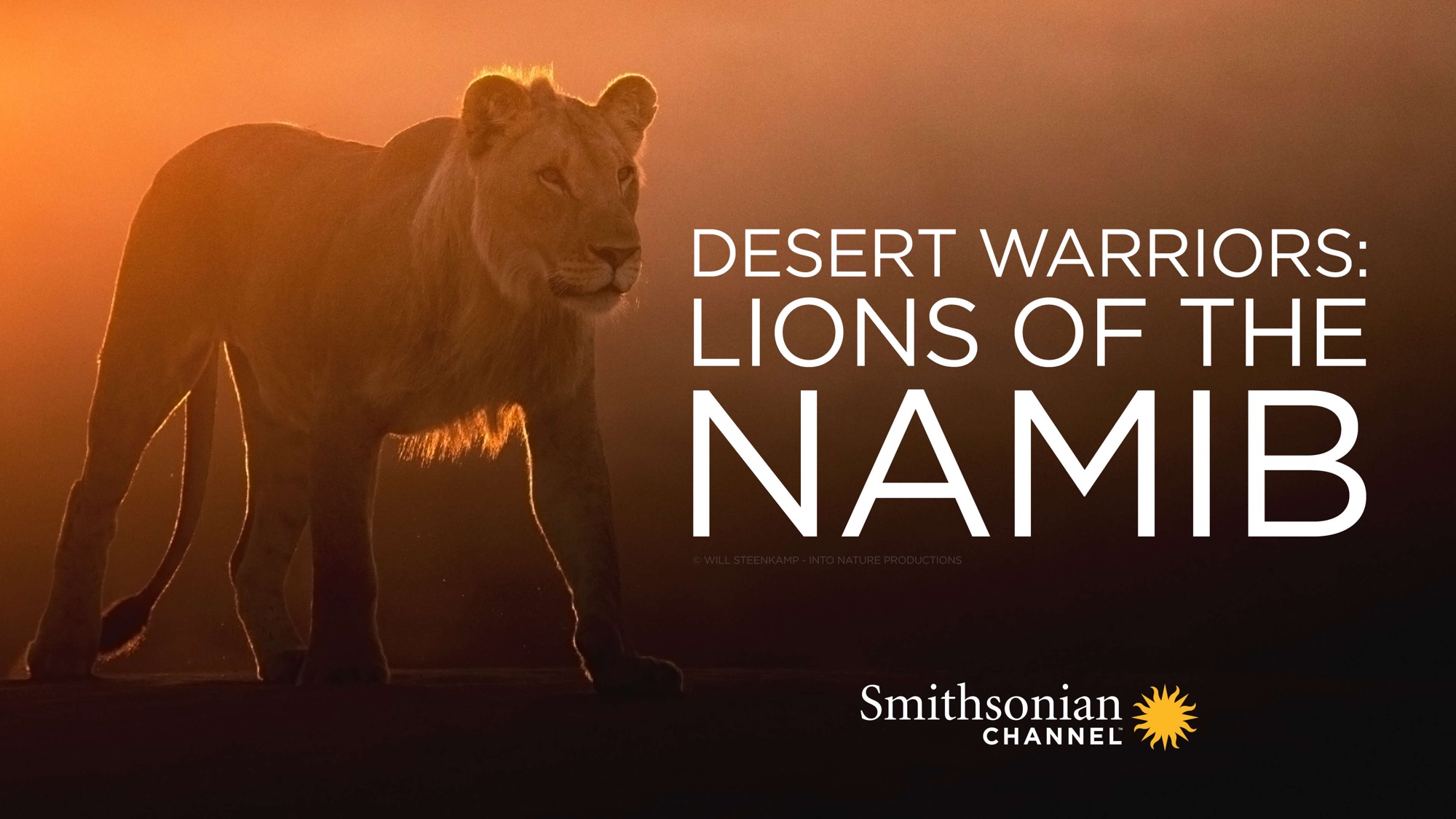 Desert Warriors: Lions of the Namib | Apple TV