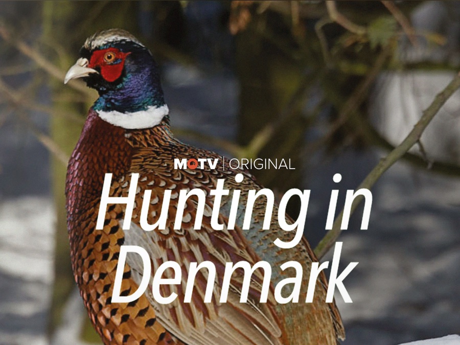 Hunting in Denmark - Apple TV