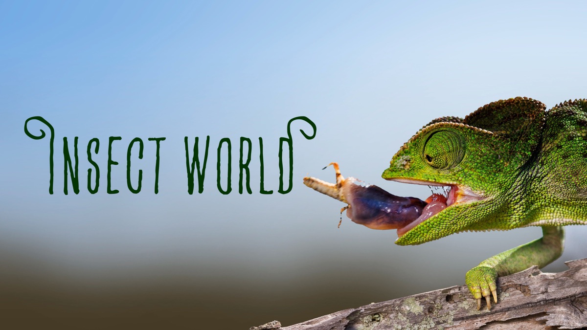 Insect World - Apple TV