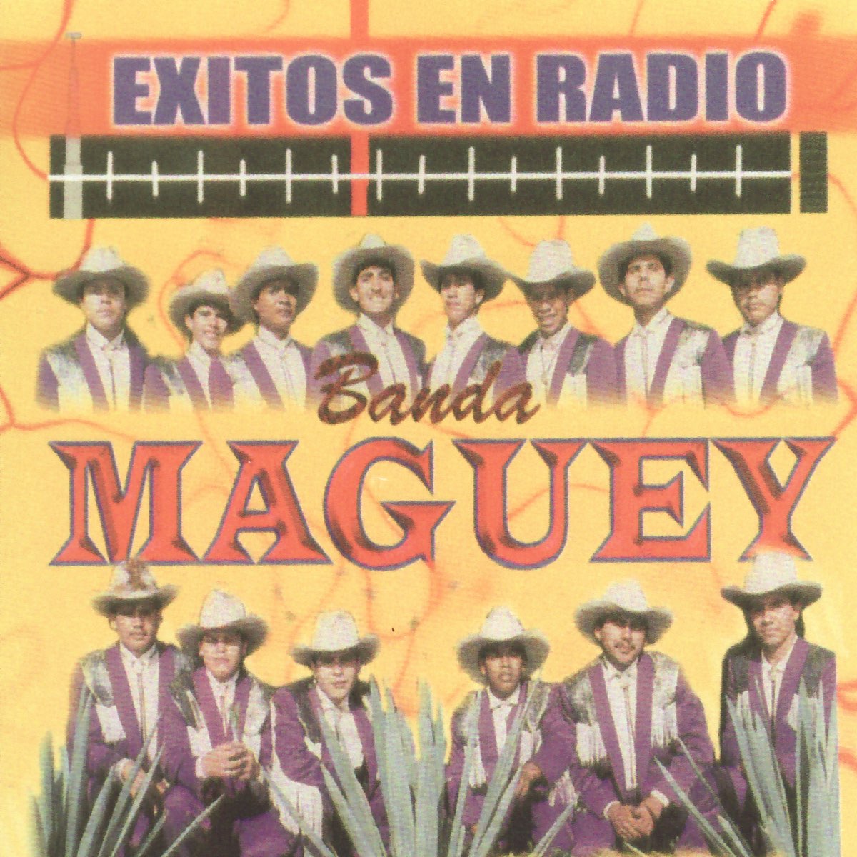 ‎Exitos en Radio by Banda Maguey on Apple Music