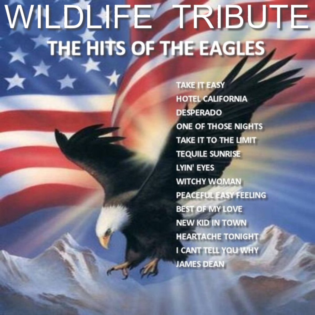 ‎A Tribute to the Hits of the Eagles by Wildlife on Apple Music