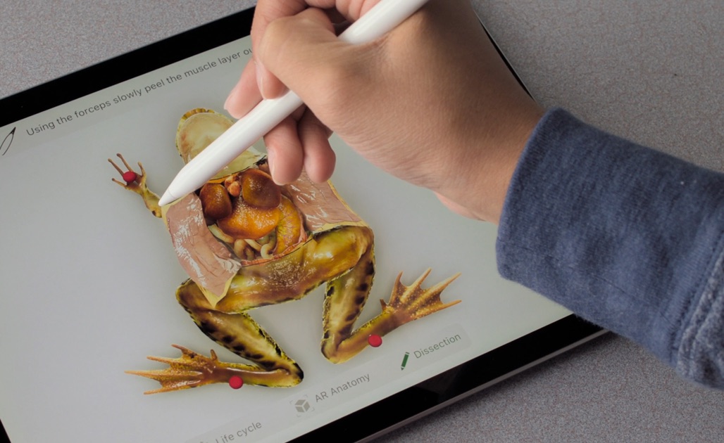 ‎Education Apps for iPad and Apple Pencil : App Store Story