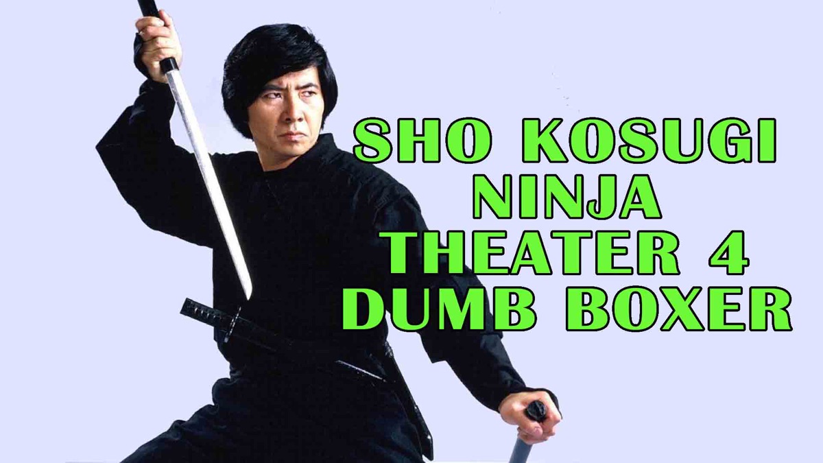 Sho Kosugi Ninja Theater 4 Dumb Boxer - Apple TV