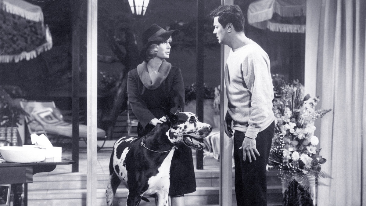 Goodbye Charlie | Apple TV (UK)