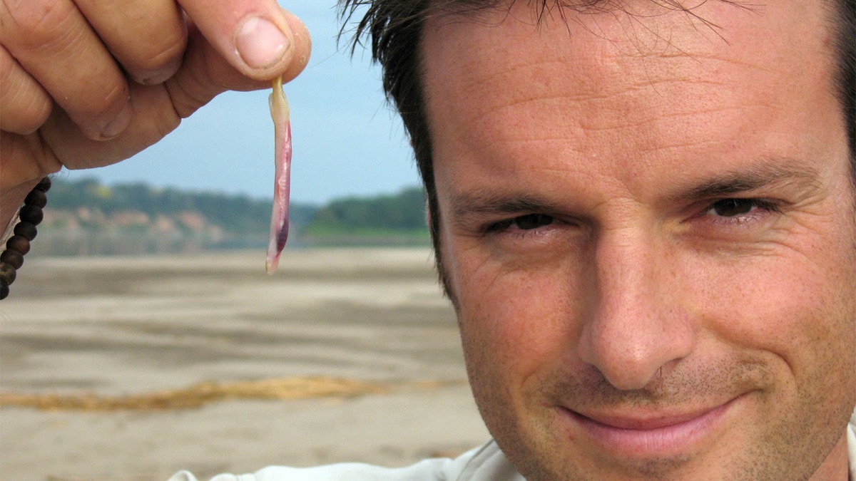 Amazonian Vampire Fish - Nick Baker's Weird Creatures (Season 1 ...