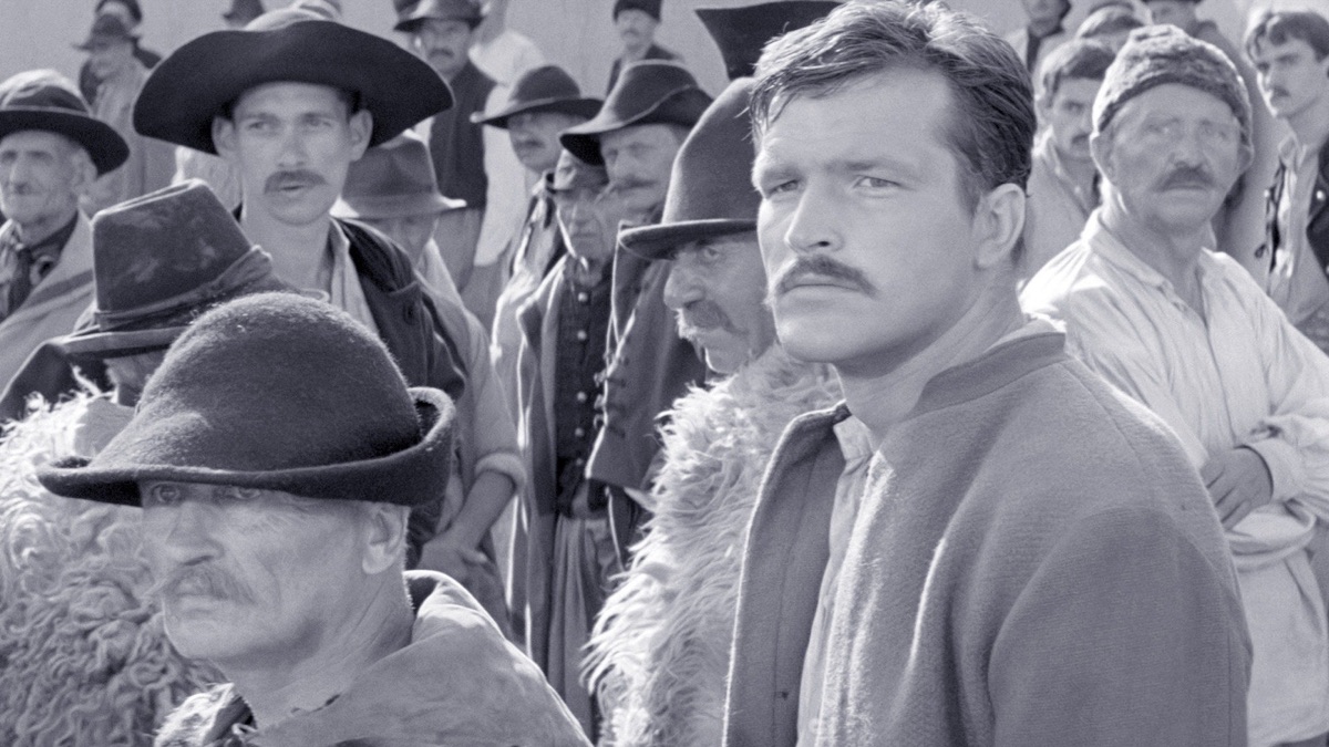 The Round-Up | Apple TV