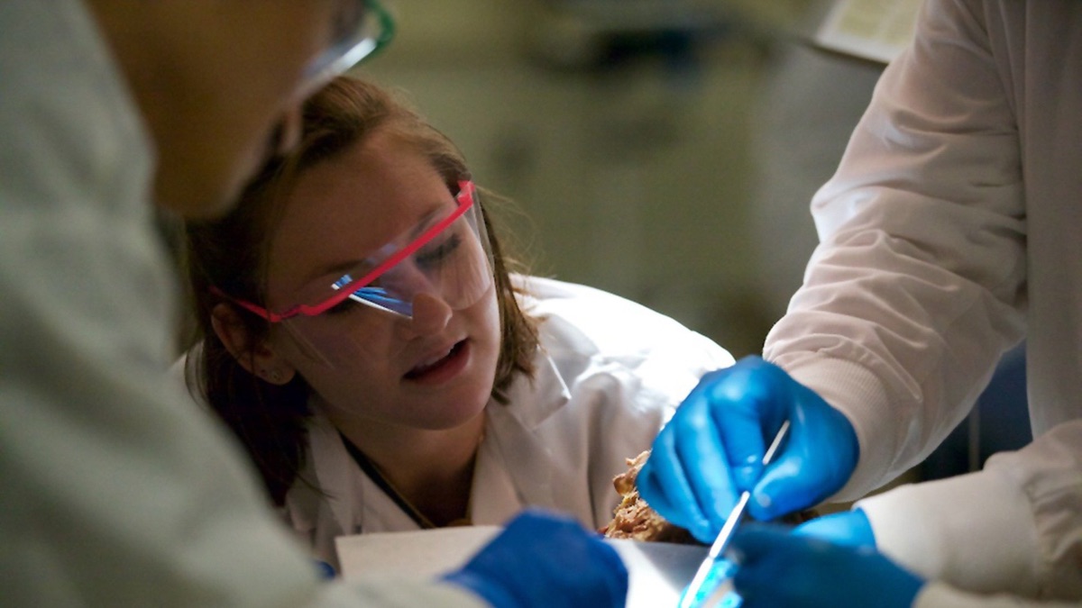 The First Patient - Apple TV