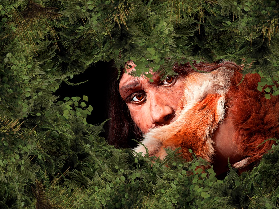 The Real Hobbit: Rethinking Human Origins - Apple TV