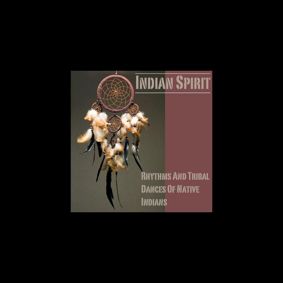 ‎Rhythms and Tribal Dances of Native Indians by Indian Spirit on Apple ...