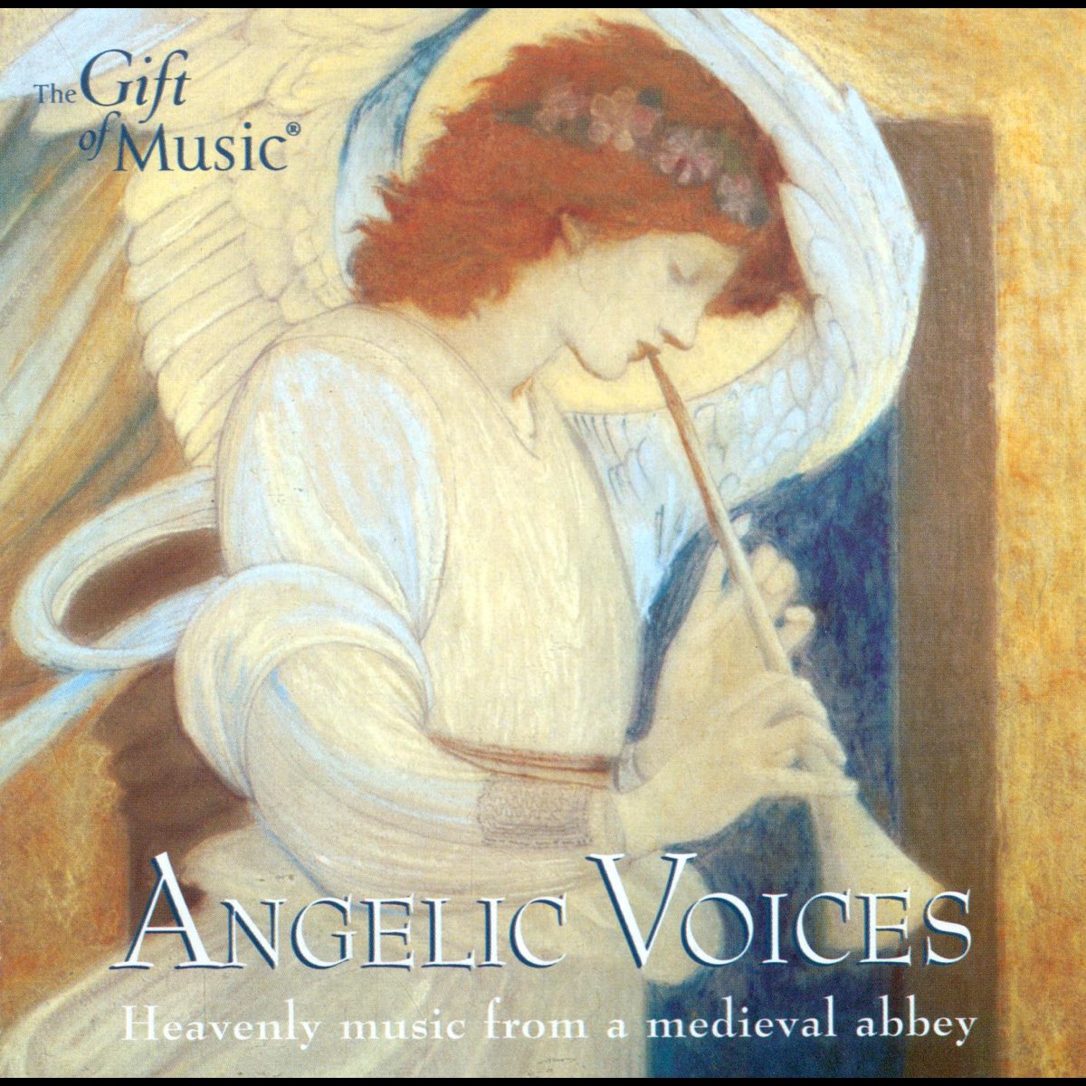 ‎Hildegard Of Bingen: Choral Music (Angelic Voices - Heavenly Music ...