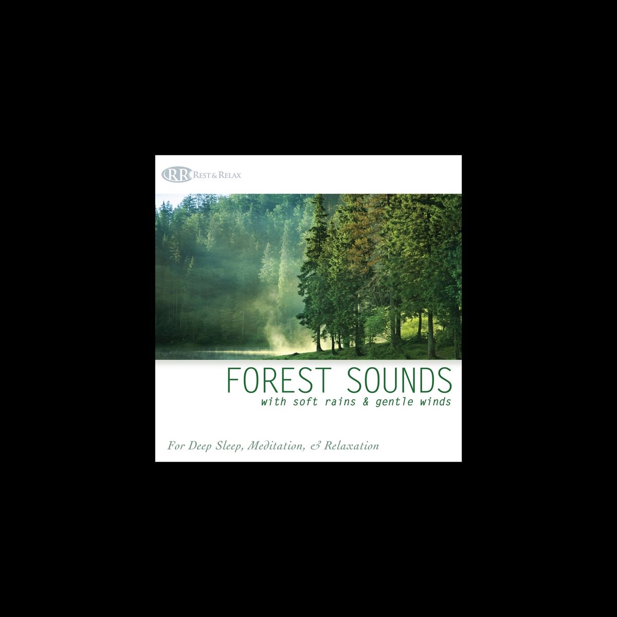 ‎Forest Sounds with Soft Rains & Gentle Winds: Nature Sounds for Deep ...