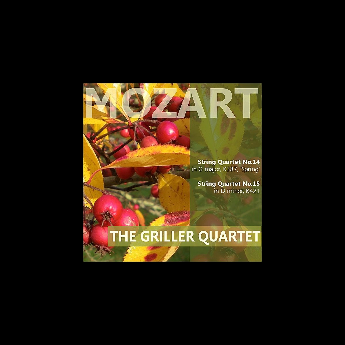 ‎Mozart: String Quartet No. 14 in G Major "Spring", String Quartet No ...
