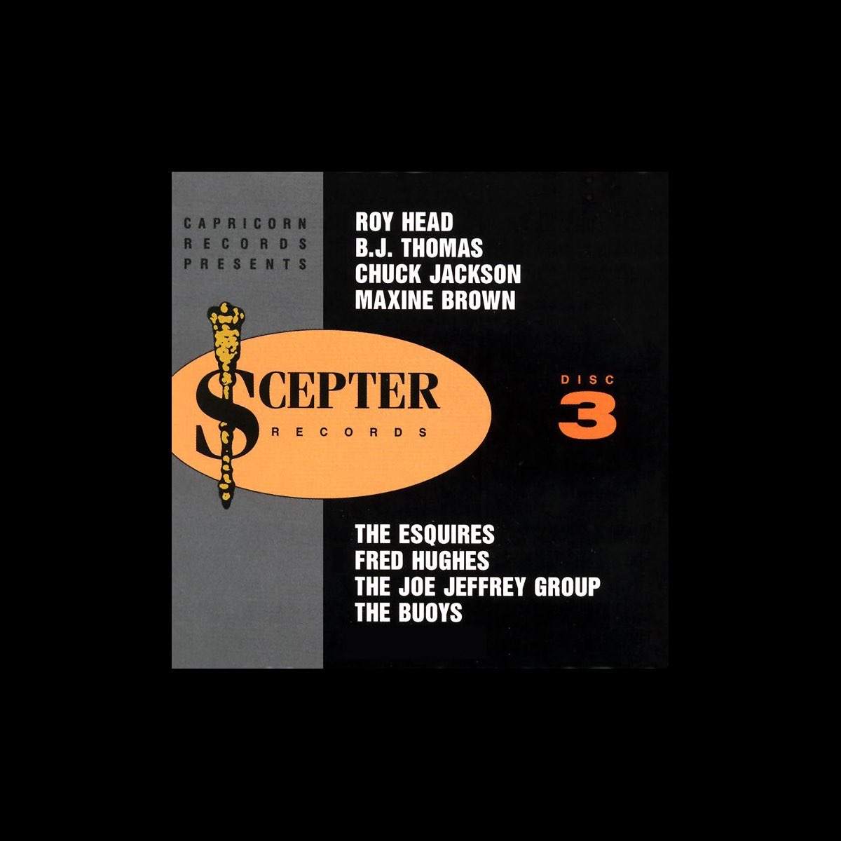 ‎The Scepter Records Story Vol. 3 de Varios Artistas en Apple Music