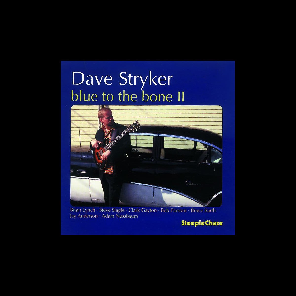 ‎Blue to the Bone II by Dave Stryker on Apple Music