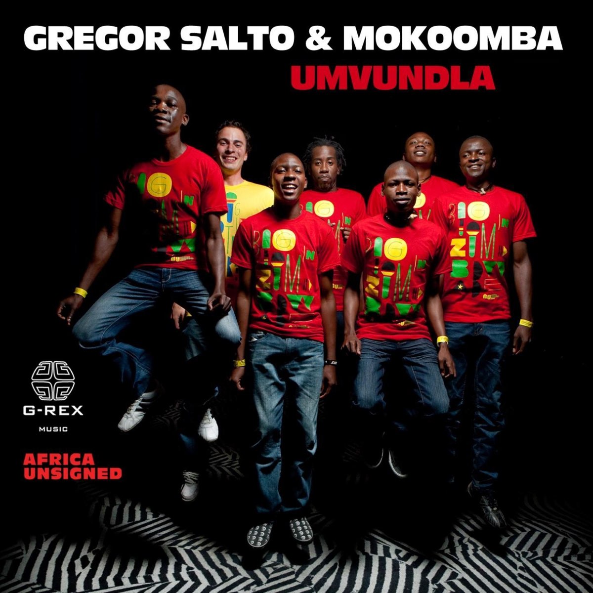 ‎Umvundla by Mokoomba & Gregor Salto on Apple Music