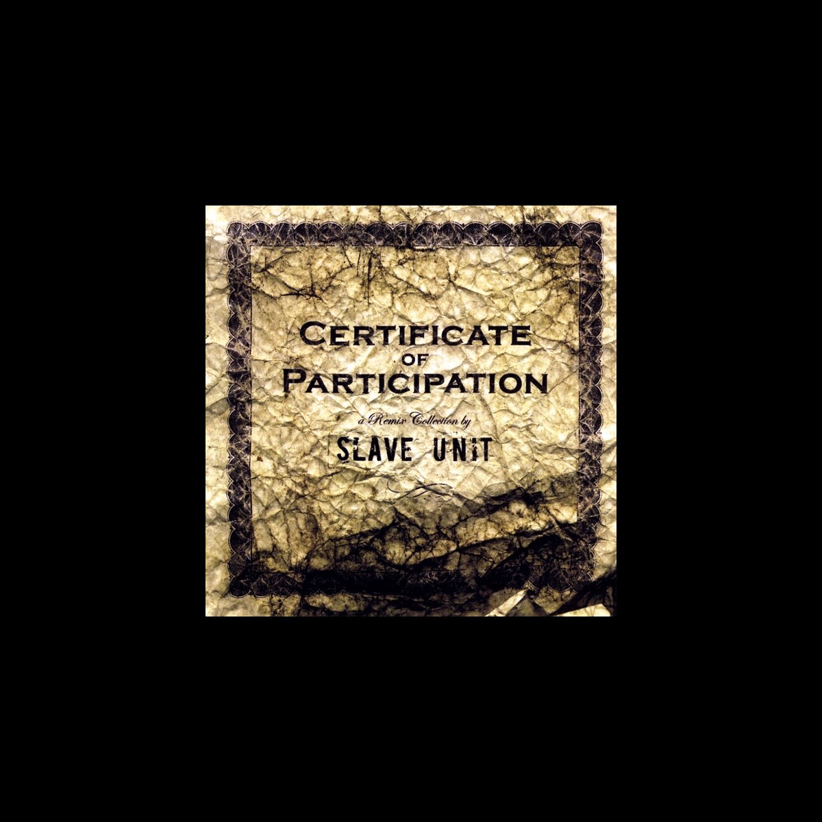 ‎Certificate of Participation by Slave Unit on Apple Music