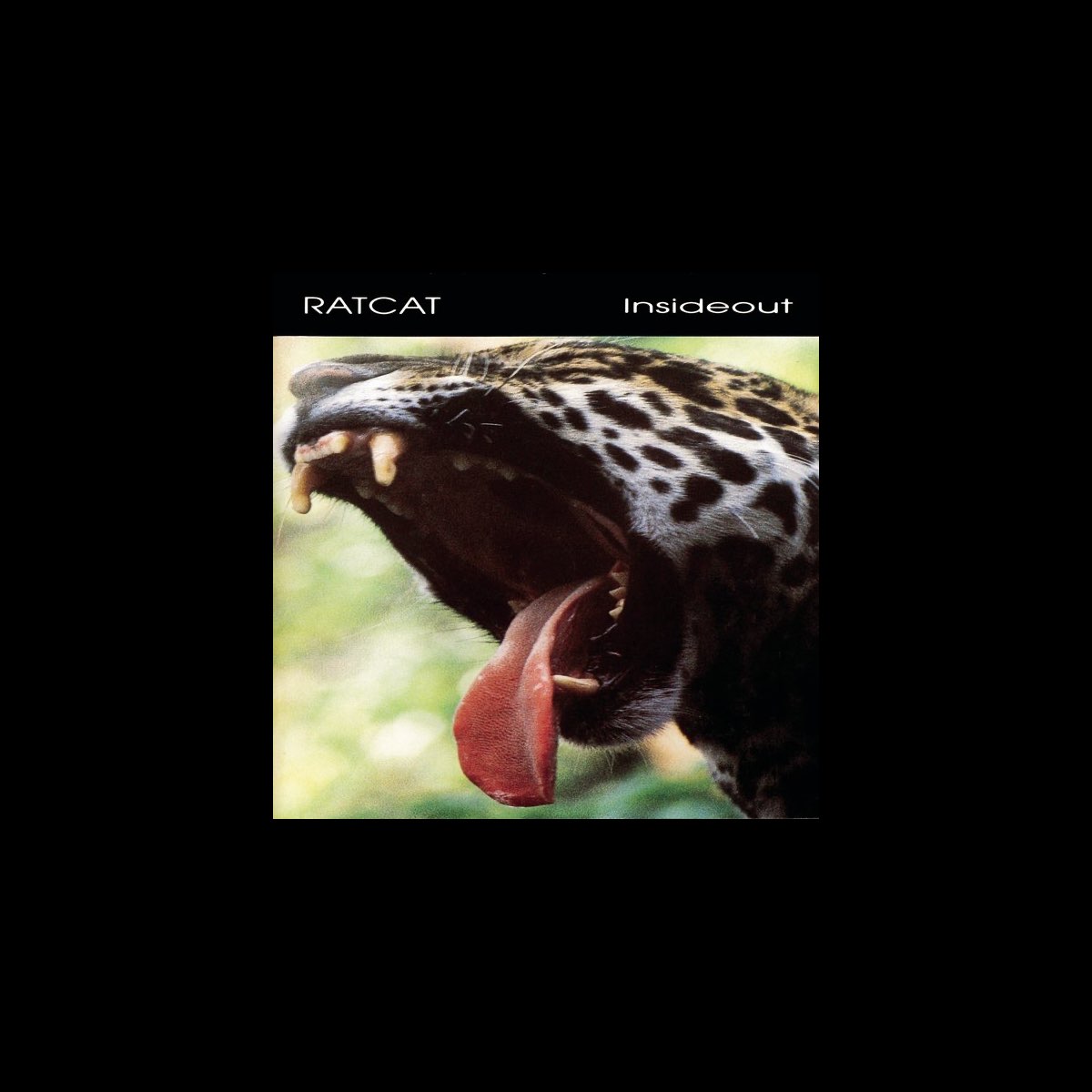 ‎Inside Out by Ratcat on Apple Music