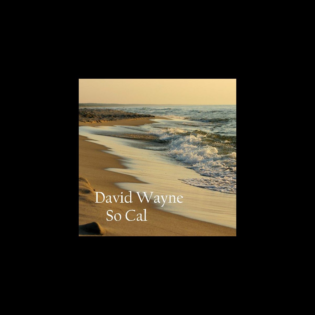 ‎Hotel California - Single by David Wayne on Apple Music