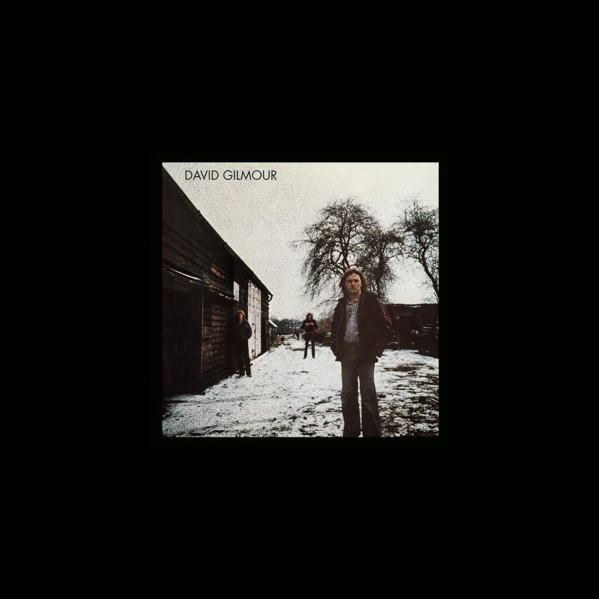 ‎David Gilmour by David Gilmour on Apple Music