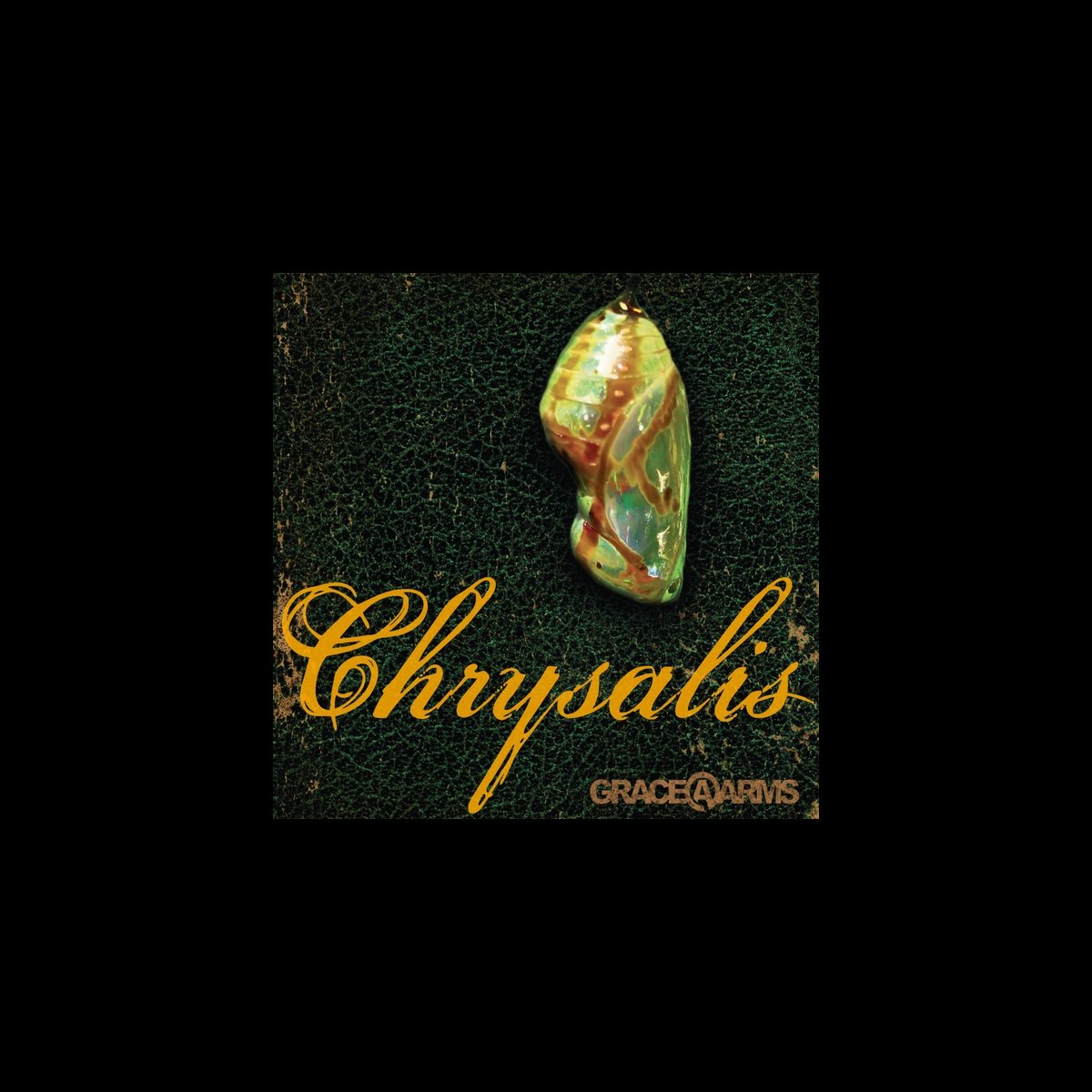 ‎Chrysalis by Grace@Arms on Apple Music
