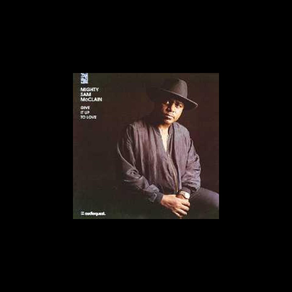 ‎Give It Up to Love by Mighty Sam McClain on Apple Music