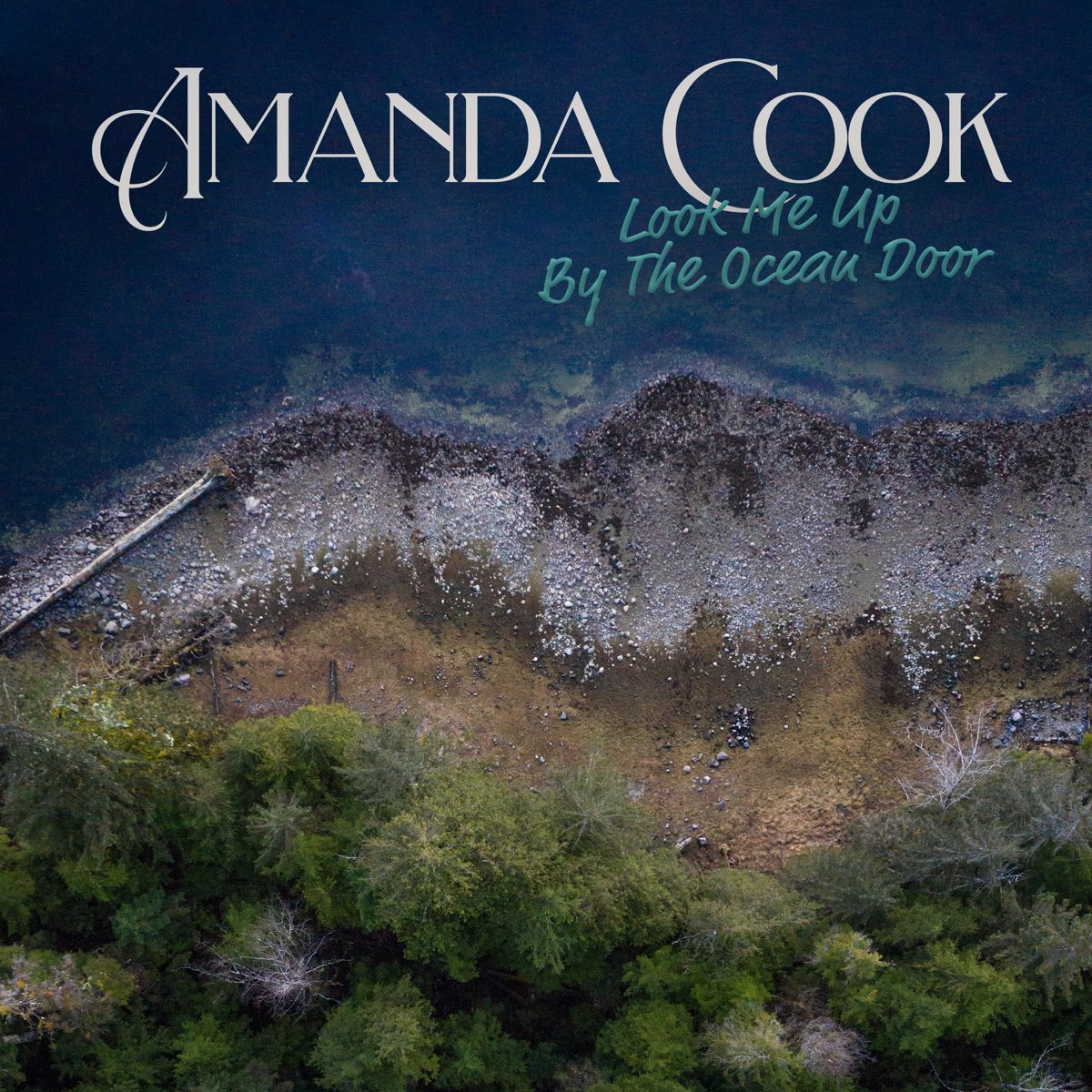 ‎Look Me Up By the Ocean Door - Single by Amanda Cook on Apple Music