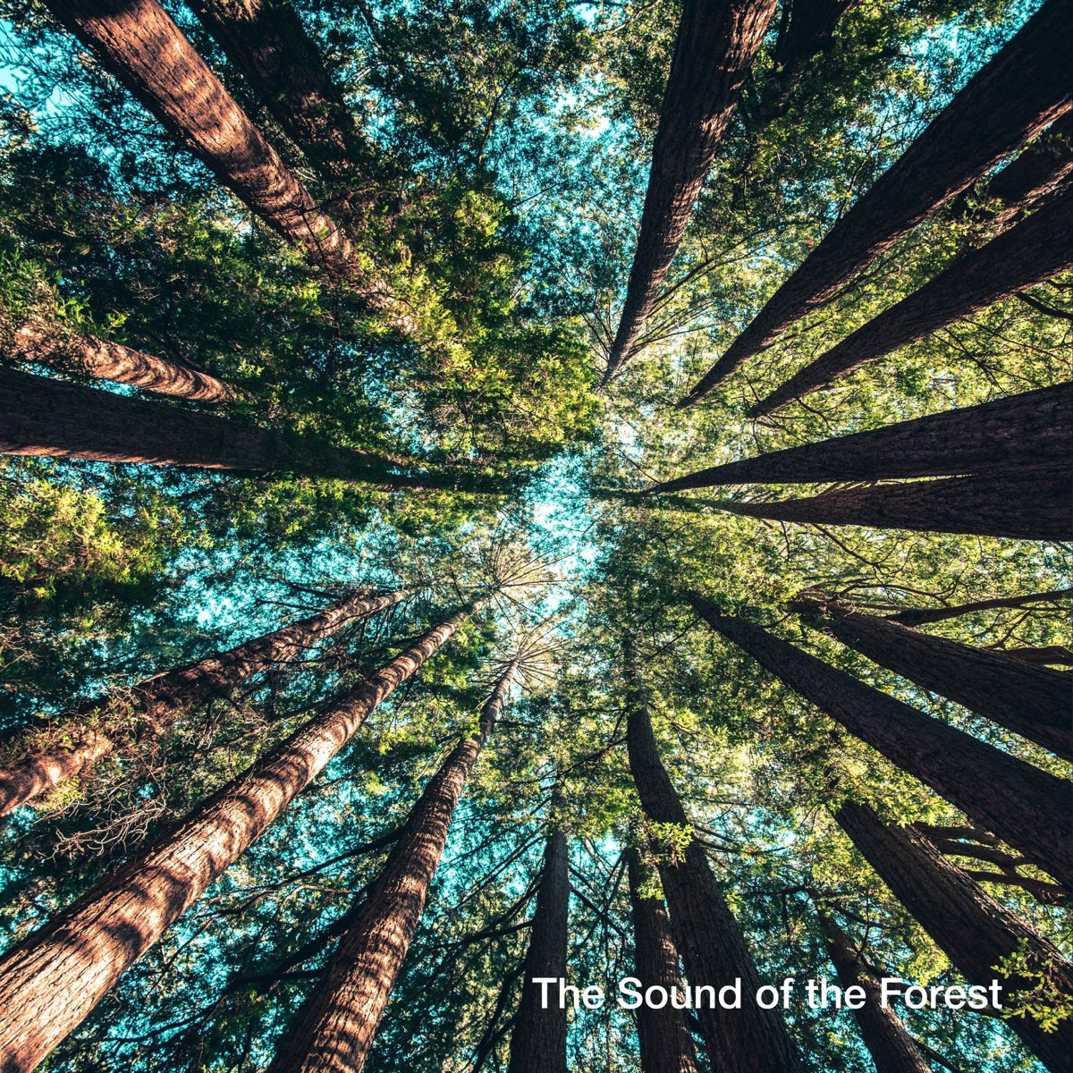 ‎Apple Music 上Water World, Nature Sound Collection & Healing Nature ...