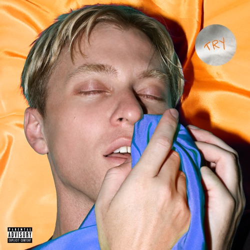 The Drums - Try - Single [iTunes Plus AAC M4A] - iPlusHub