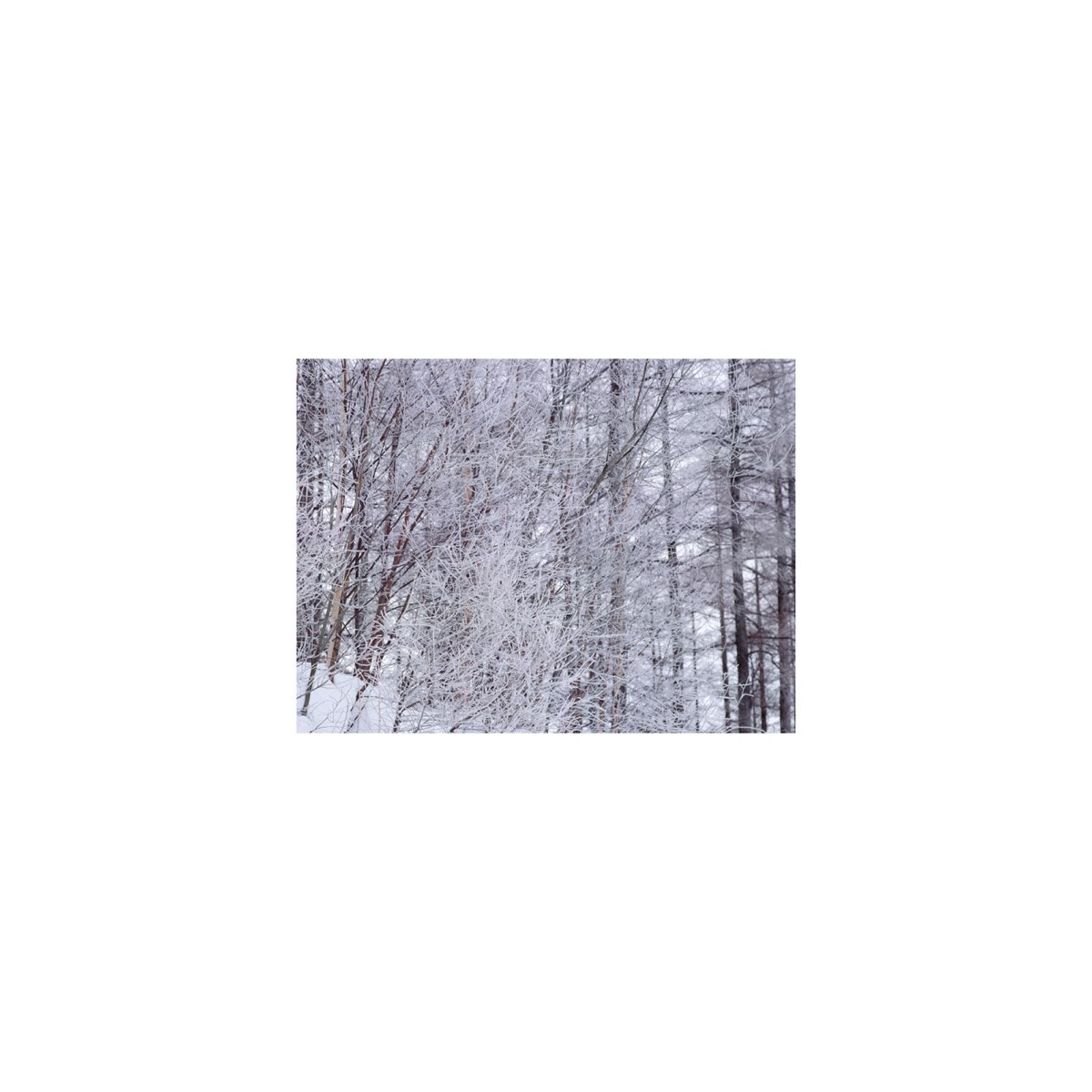 ‎Contingency map Instability Renewal BGM de Mindfulness Healing BGM ...