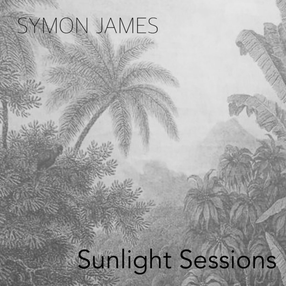 ‎Sunlight Sessions by Symon James on Apple Music