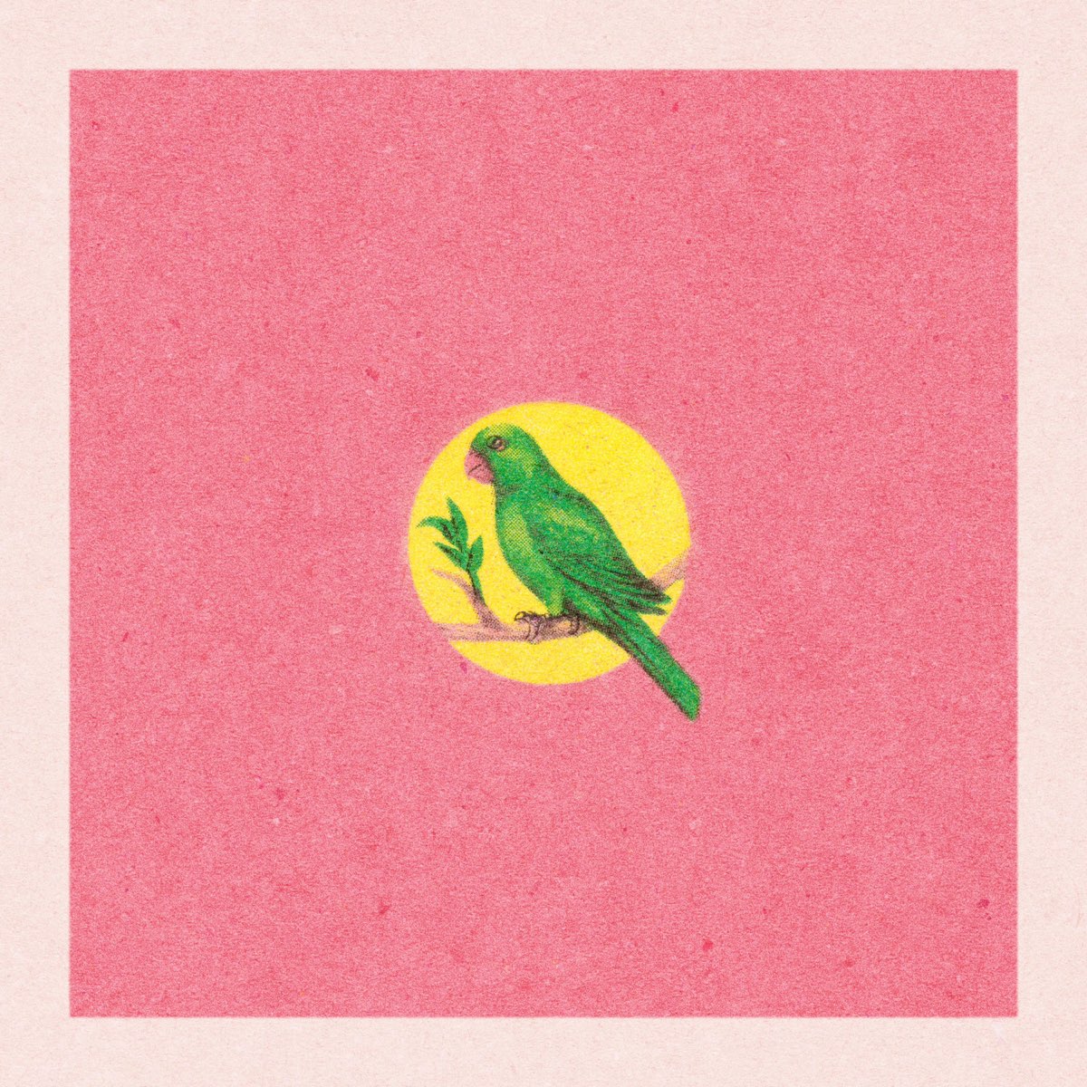 ‎Your Garden Birds - Single by Chinless Wonder on Apple Music