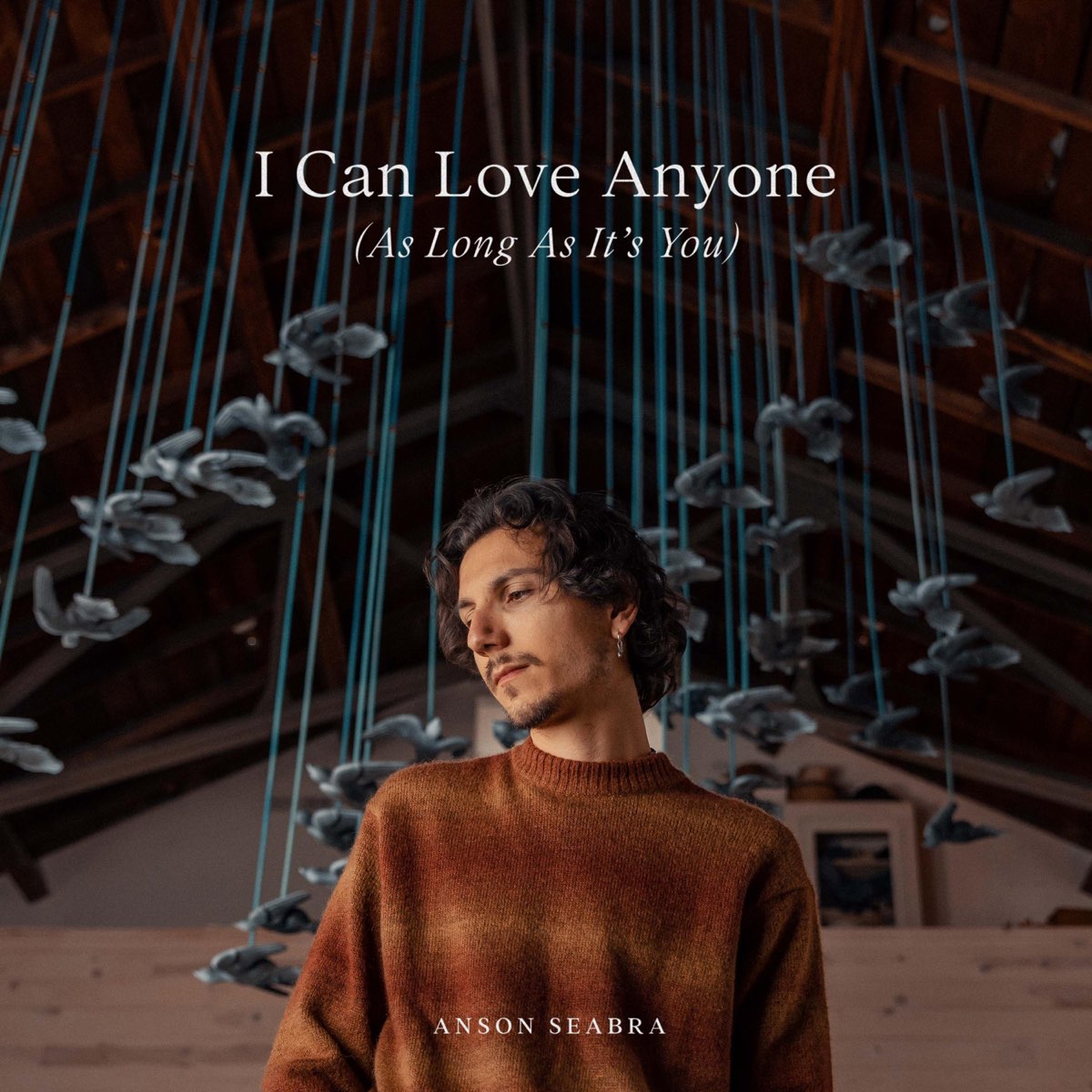 ‎I Can Love Anyone (As Long As It's You) - Single by Anson Seabra on ...