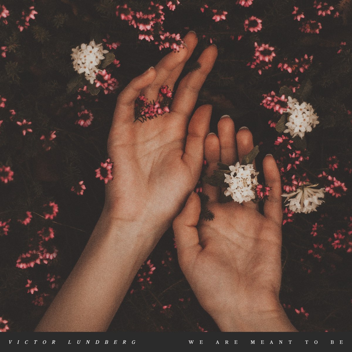 ‎We Are Meant to Be (feat. Cody Francis) - Single de Victor Lundberg en ...