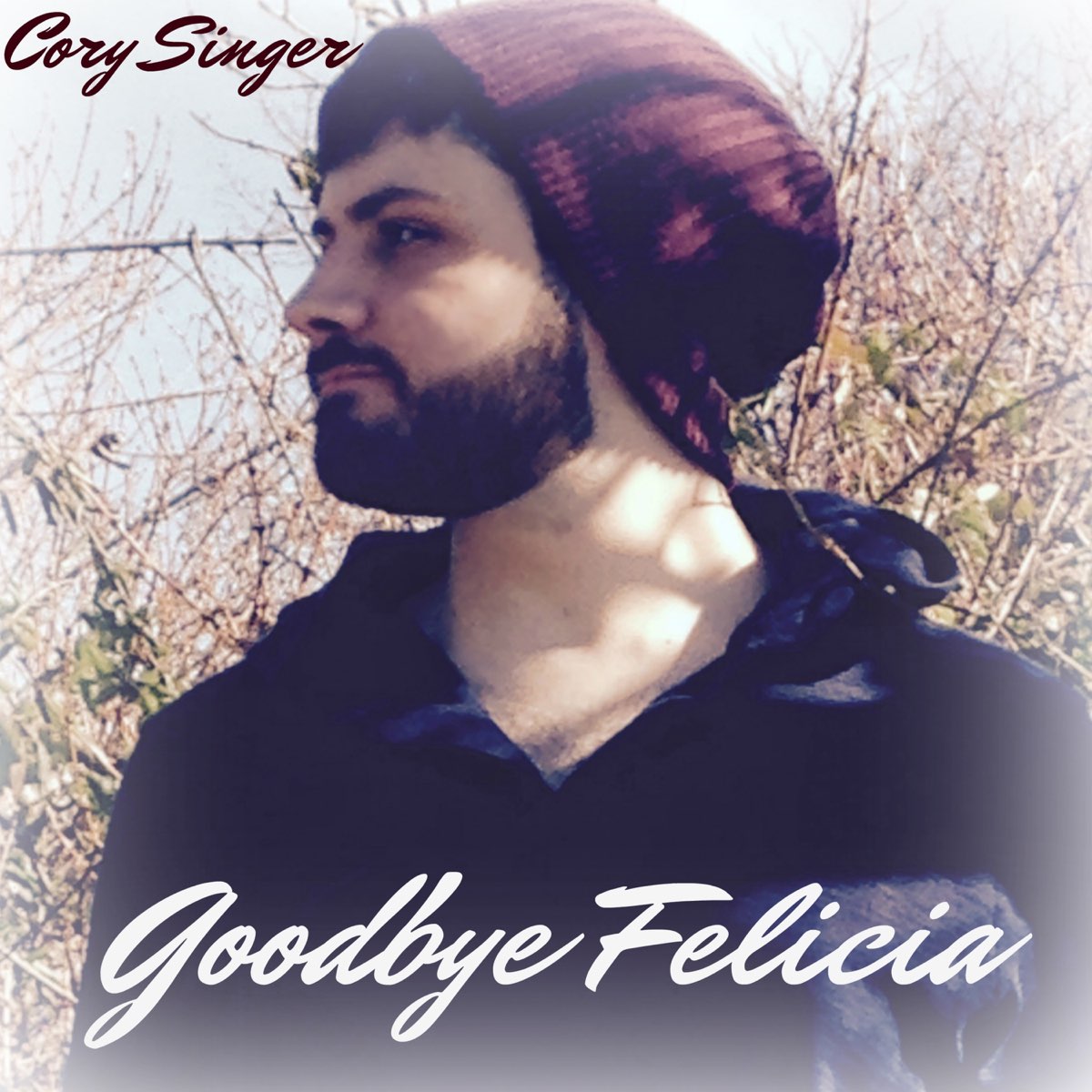 ‎Goodbye Felicia - Single by Cory Singer on Apple Music