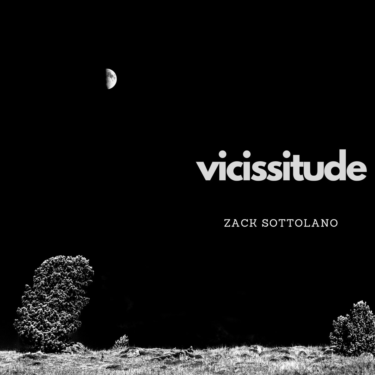 ‎Apple Music 上Zack Sottolano的专辑《Vicissitude - Single》