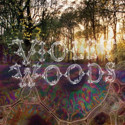 The Dancer - Violet Woods | Shazam