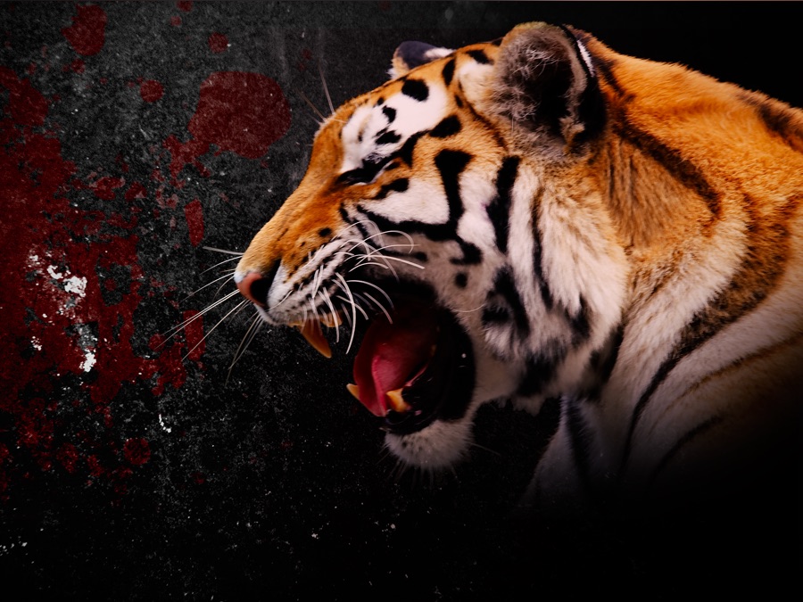 Human Prey - Apple TV (MX)