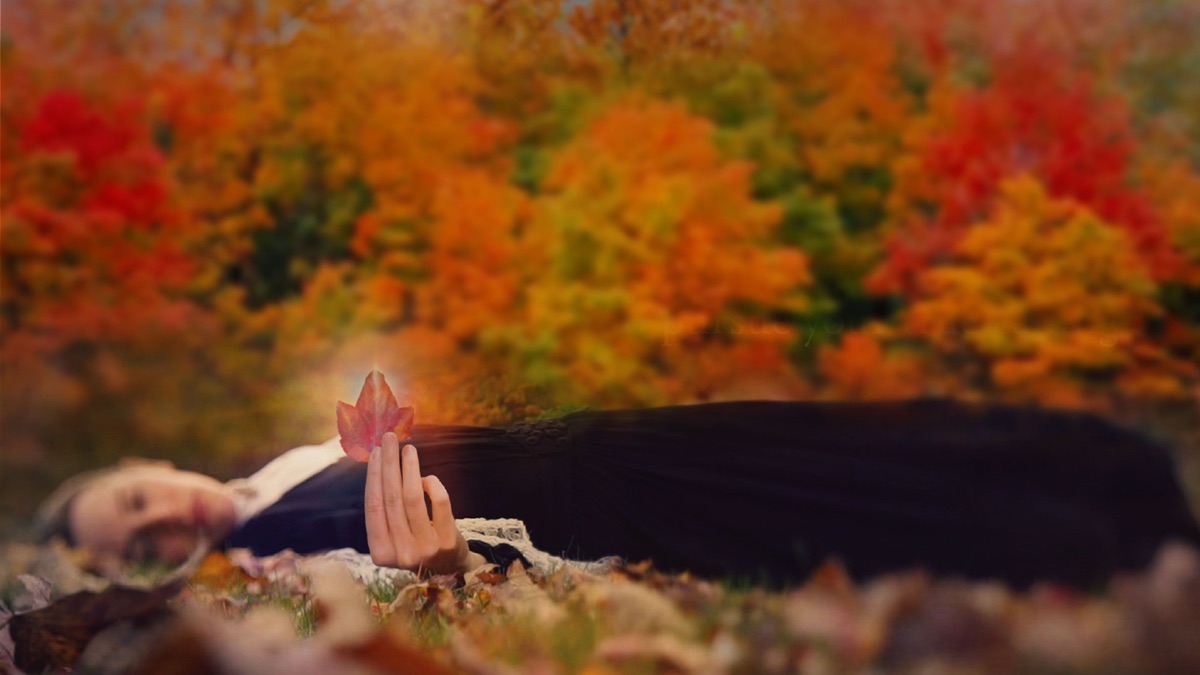 Many Beautiful Things - Apple TV (UK)