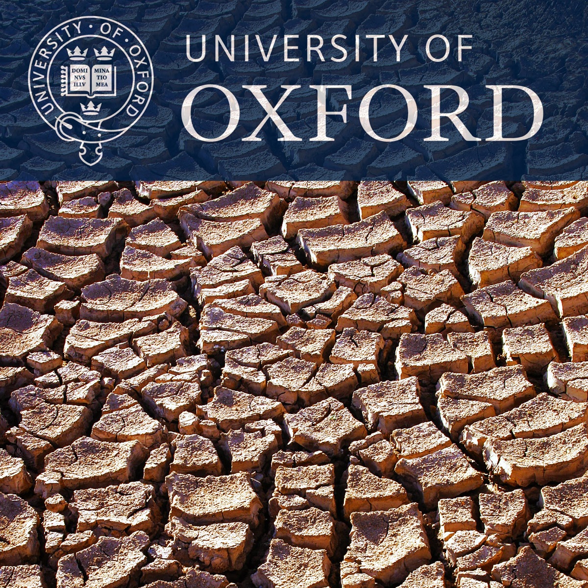 The impact of drought and water scarcity on ecosystems and their ...