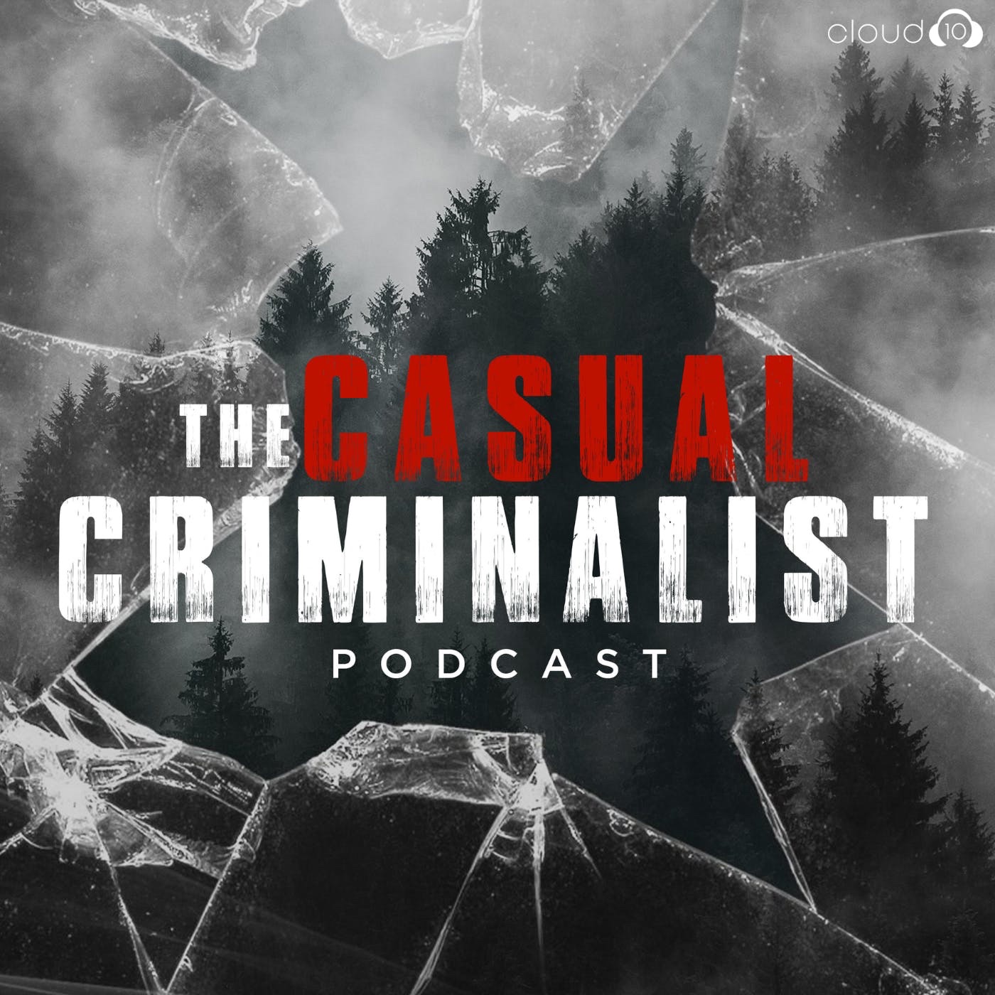 The Worst Serial Killer Fumbles by Police (Of All Time) – The Casual ...