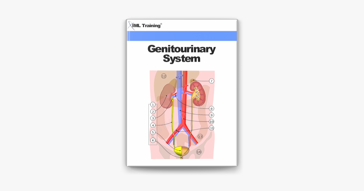 ‎Genitourinary System (Human Body) on Apple Books