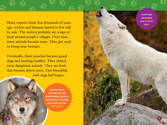 National Geographic Readers Woof 100 Fun Facts About Dogs On Apple Books national-geographic-readers-woof-100-fun-facts-about-dogs-on-apple-books