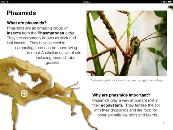 ‎Phasmids on Apple Books