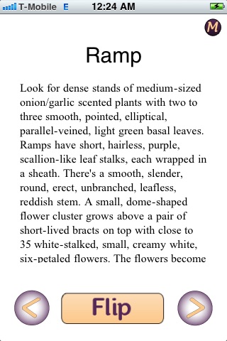 Foraging Flashcards Early Spring by WinterRoot LLC