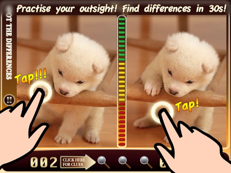 Spot The Difference HD - dogs Lite by mingzhang cai